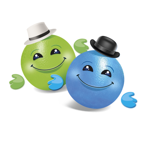 HARIBO Dragibus - Sachet refermable et reyclable