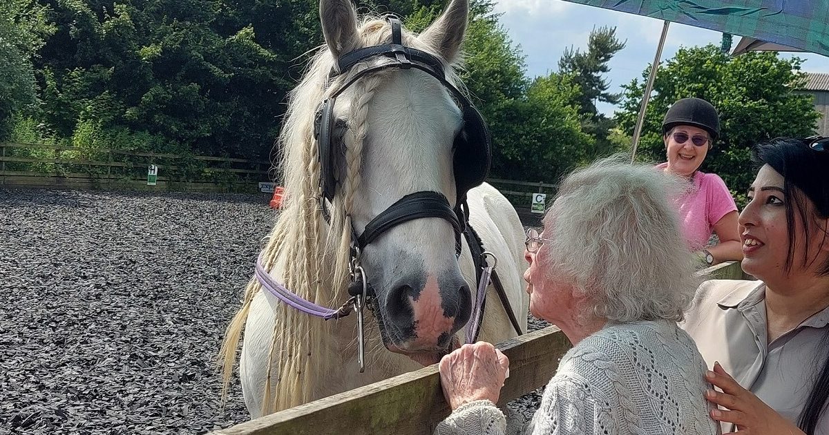 TEA WITH A PONY DELIVERS SMILES - HARIBO